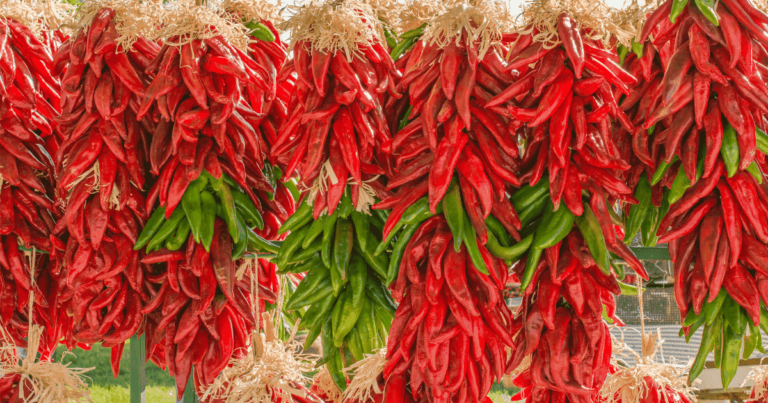 20 Red Color Matches to Elevate Your Decor – Colors that GO