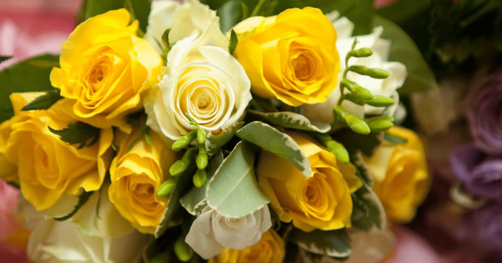 20 Best Colors for a Gorgeous Yellow Color Scheme – Colors that GO