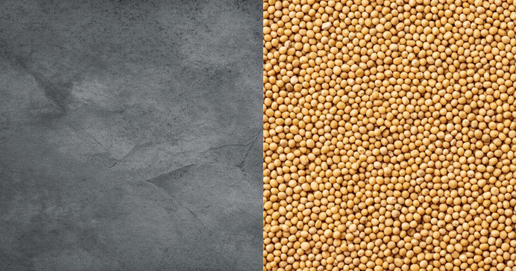 20 Gorgeous Gray Color Pairings to Transform Your Design – Colors that GO