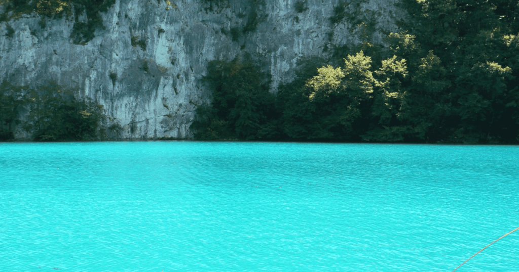 20 Gorgeous Gray Color Pairings to Transform Your Design – Colors that GO