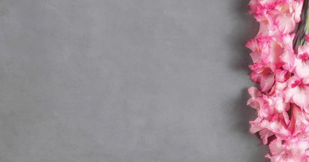 20 Gorgeous Gray Color Pairings to Transform Your Design – Colors that GO