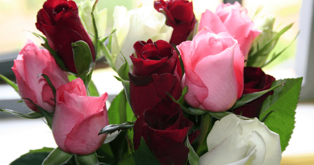 20 Maroon Color Schemes to Elevate Your Design – Colors that GO