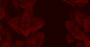 20 Maroon Color Schemes to Elevate Your Design – Colors that GO