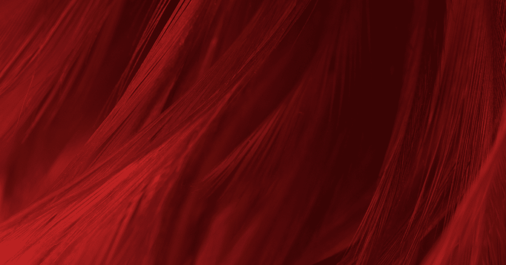 20 Maroon Color Schemes to Elevate Your Design – Colors that GO