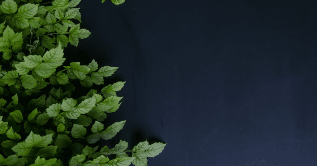 20 Best Color Schemes for Navy Blue Interiors and Outfits – Colors that GO